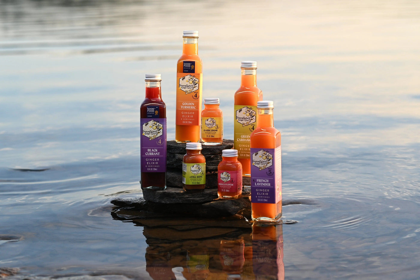 Top 5 Reasons to Try ImmuneSchein's Wellness Elixirs for Improved