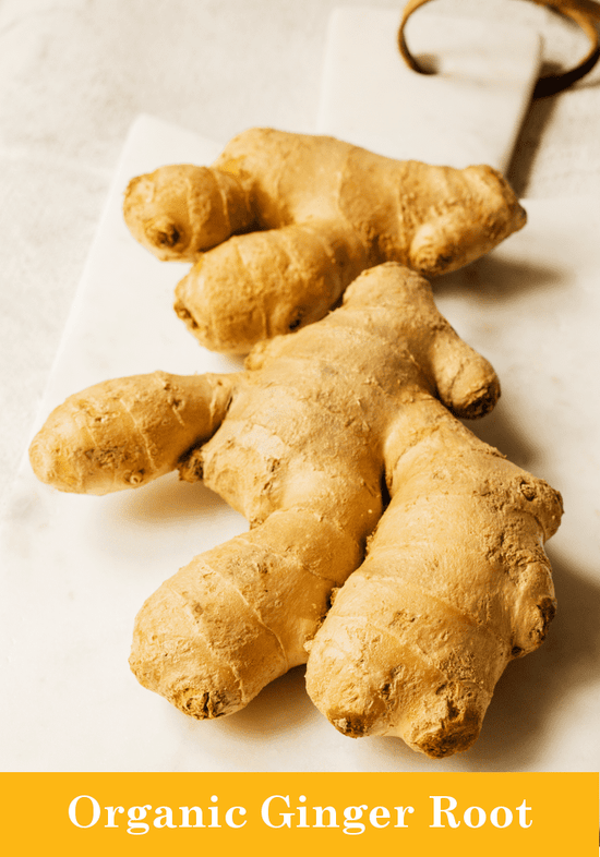 Gift Pack of 4 ea. 2 oz. Bottles Ginger Elixir